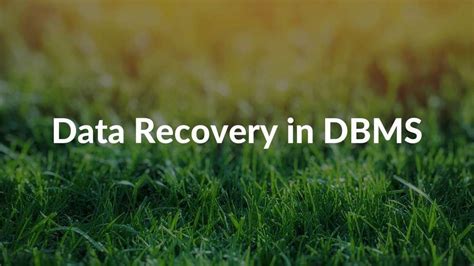 DBMS Data Recovery DB Exam Study DBMS Data Recovery DB Exam Study