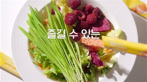 Mannatech Phyto Cleanse Youtube