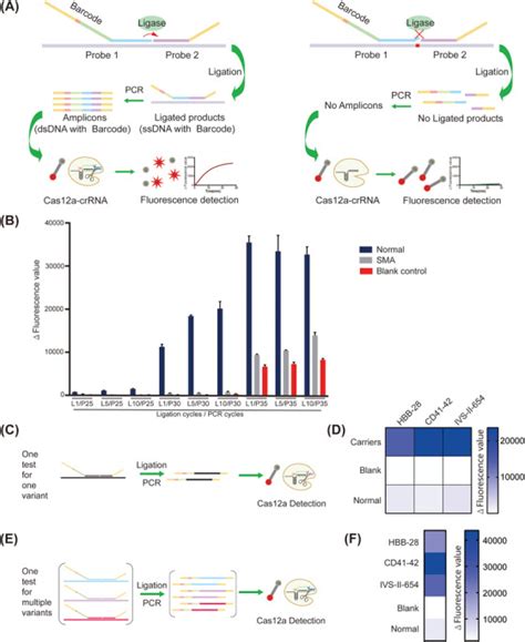 A Protospacer Adjacent Motif‐free Multiplexed And Quantitative Nucleic Acid Detection Platform