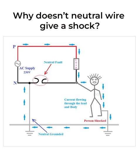 Neutral Wire Safety Issue At Maria Baum Blog