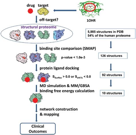 The Structural Proteome Wide Off Target Pipeline Integrating Ligand Download Scientific Diagram