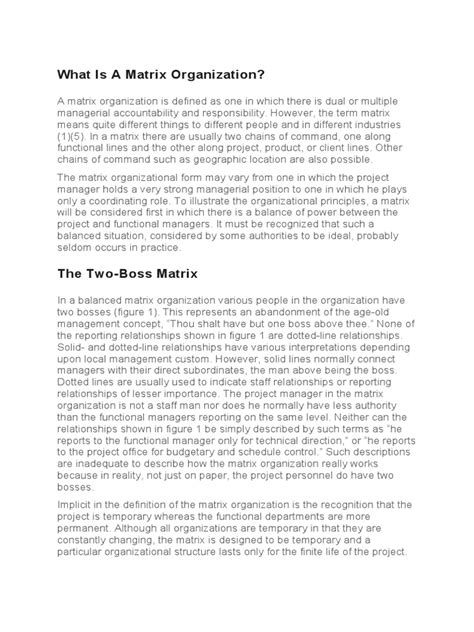 what is a matrix organization pdf organizational structure matrix