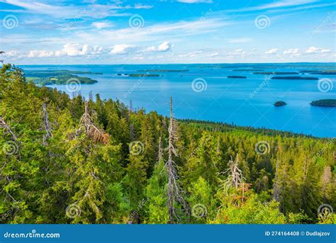 Panorama View Of Archipelago At Lake Pielinen At Koli National P Stock