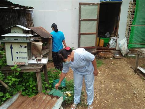 ပန်းတောင်းမြို့နယ်တွင် သွေးလွန်တုတ်ကွေးကြိုတင် ကာကွယ်နှိမ်နင်း