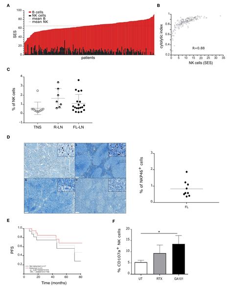 Figure 1 From A Tridimensional Model For Nk Cell Mediated Adcc Of