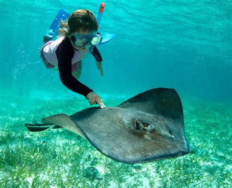 Homes For Sales In Belize Marriott Residences Investment