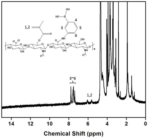 一种培养基介导交联的透明质酸基双交联水凝胶制备方法与流程 2