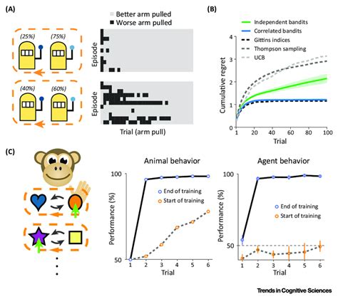 bandits and the harlow task a example behavior of meta reinforcement download scientific