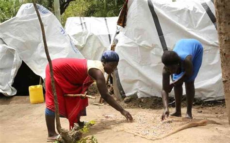 Rise Of Sex For Basic Needs In Busias Victims Camps