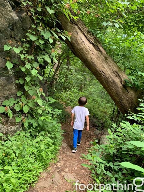 Baldpate Mountain Trail Footpathing