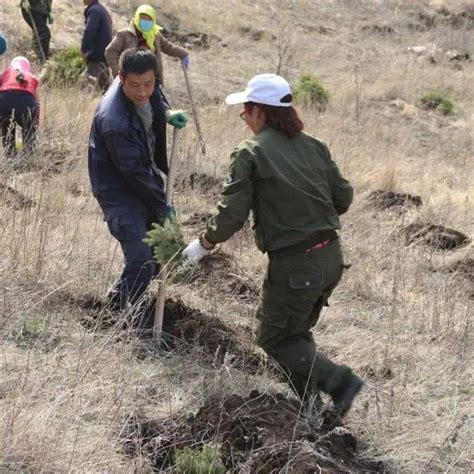 践行习近平生态文明思想⑧蒙旺平：山为家林为伴父亲大山护林