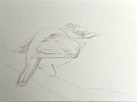 How To Draw A Bird For Beginners
