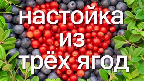 настойка из трёх ягод - YouTube