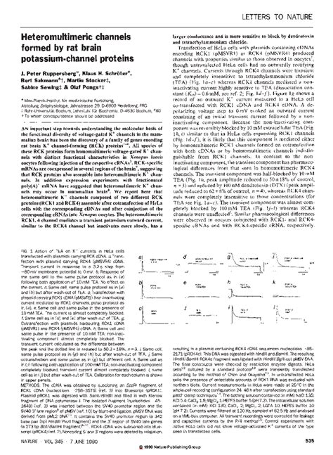 Neuro Tutorial 1 Neurobiology 1990 Nature Publishing Group 1990 Nature Publishing Group