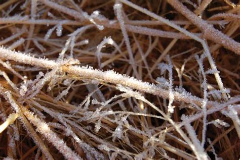 Temperature Atlas Of Namibia