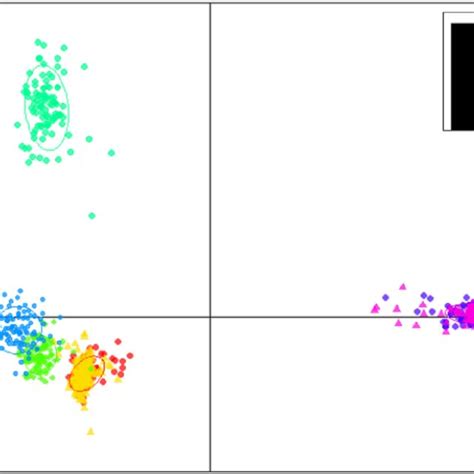 Discriminant Analysis Of Principal Components Dapc Analysis For The