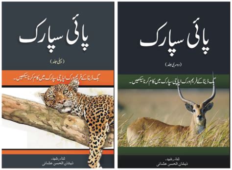 pyspark set i and ii a complete spark programming guide