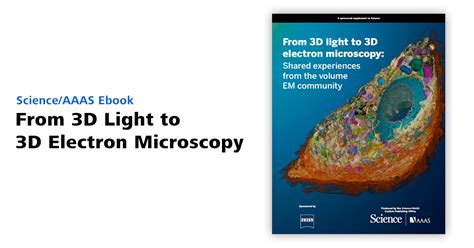From 3d Light To 3d Electron Microscopy Ebook