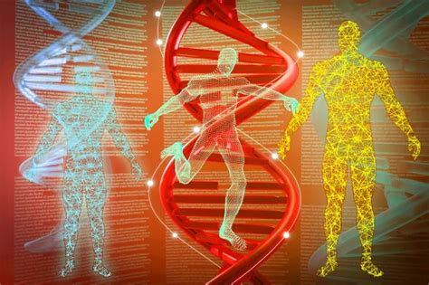 Height And Genetic Engineering Could Future Generations Be Taller