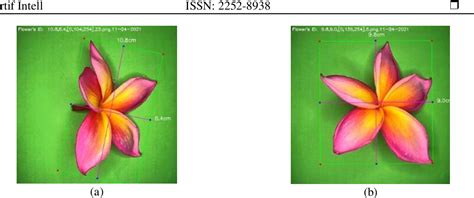 Figure 1 From Labeling Of An Intra Class Variation Object In Deep