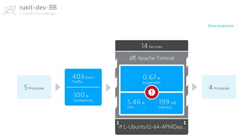 Analyze Processes — Dynatrace Docs