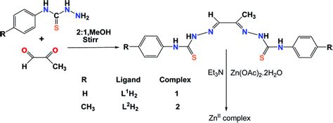 Schematic Representation Of The Template Synthesis Of The Znii Complexes Download Scientific