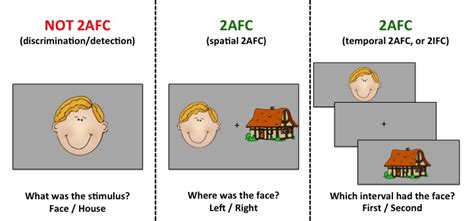 Generalised Linear Model