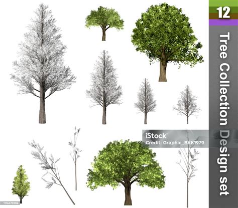 Tree Correction Design Set 3d Illustration White Background Isolate Nature And Gardens Design