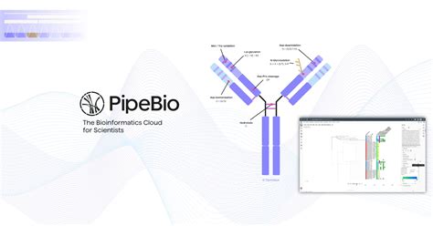 Overview Of The Pipebio Platform