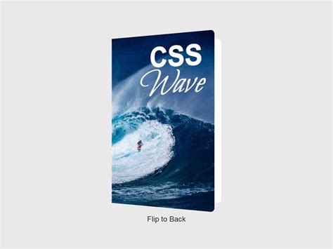 36 Best Free HTML CSS Book Effects In 2024