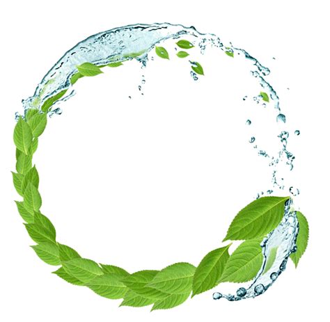 水花 水 绿叶 薄荷 清新 PNG素材