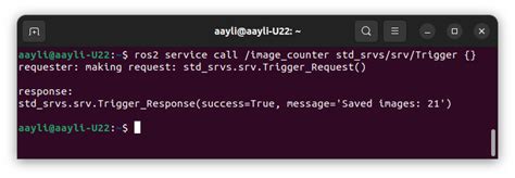 Creating Nodes Services Husarion