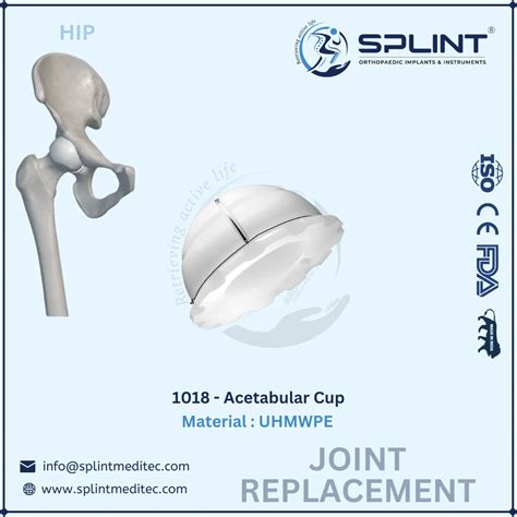 Acetabular Cup At ₹ 10750 एसिटाबुलर कप In Rajkot Id 2854957387673