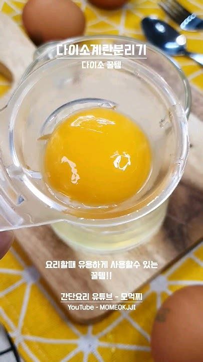 모르면 후회할 다이소 노른자 흰자 계란분리기 I 다이소 꿀템 추천템 Youtube