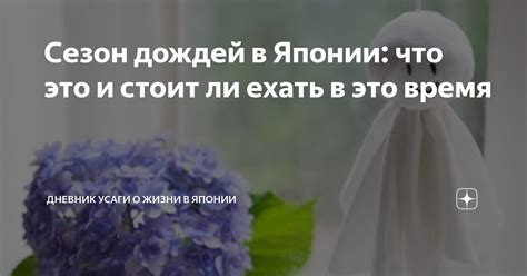Сезон дождей в Японии что это и стоит ли ехать в это время Дневник