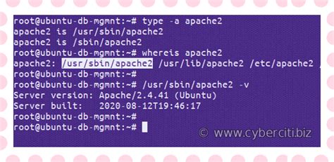 How To Check Version Apache Braincycle1