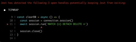 Bug Memory Leak · Issue 24 · Cheesecakelabsneo4j Node Ogm · Github
