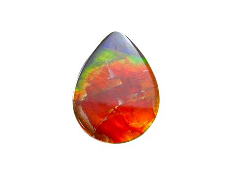 Shop — Ammolite Canada
