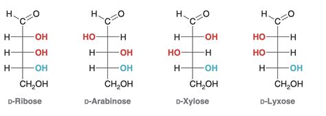 Solved 24 72 Consider The Structures Of The Four