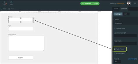 How Can I Add Auto Focus To The Form Field