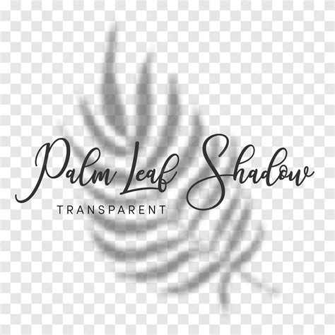 Premium Vector Palm Leaf Shadow Vector Illustration Tropical Palm