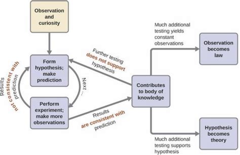 Science Measurement Flashcards Quizlet