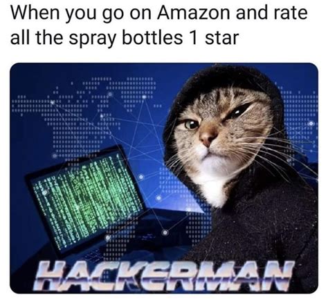 Hilarious Hackercat Memes