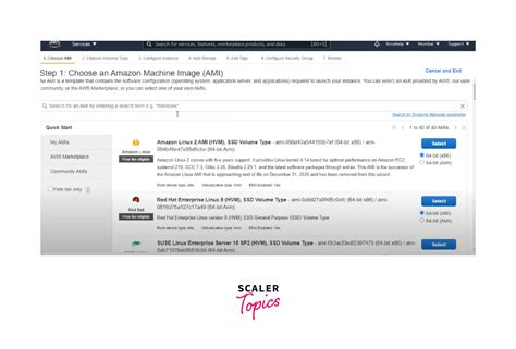 Amazon Inspector Scaler Topics