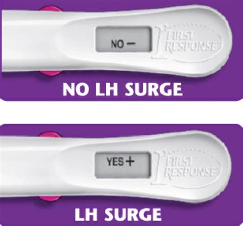 26 Ovulation Test Photos To Help You Read Your Own Results