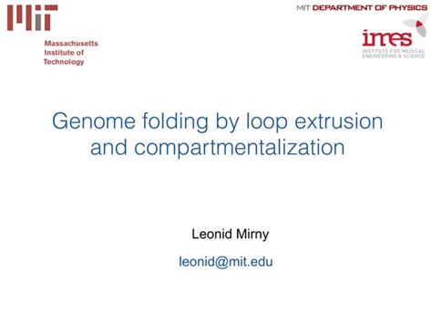 Genome Folding By Loop Extrusion And Compartmentalization Ppt