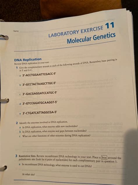Solved LABORATORY EXERCISE Molecular Genetics DNA Chegg Com