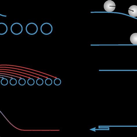 Bump Attractor Networks As Spatial Location Memory A The State Of A Download Scientific