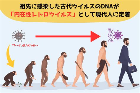 Dna
