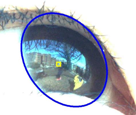 additional experiments each row shows gaze patterns of a user in a